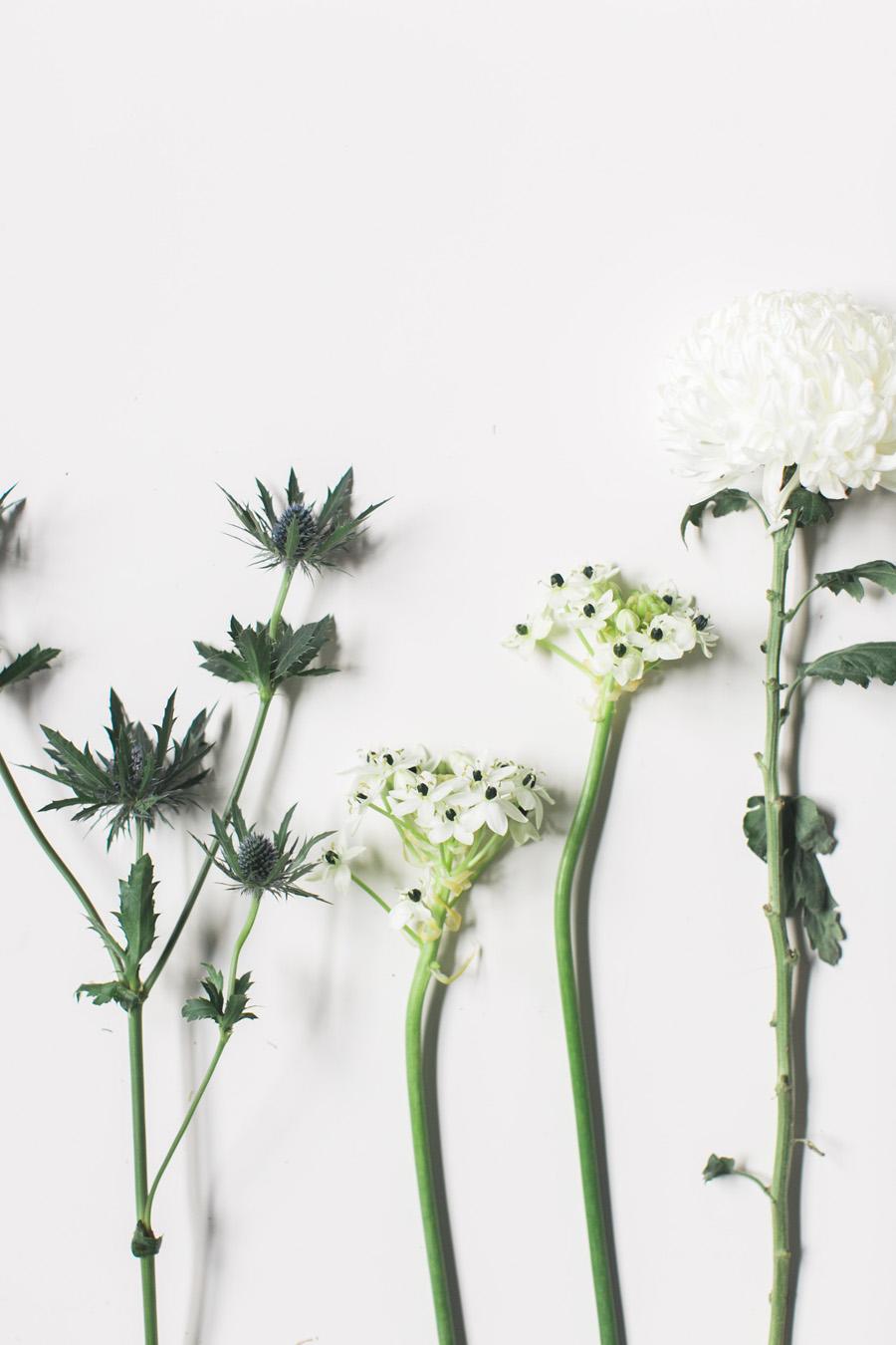 Guide to the Longest Lasting Flowers