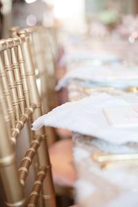 French Inspired Baby Shower