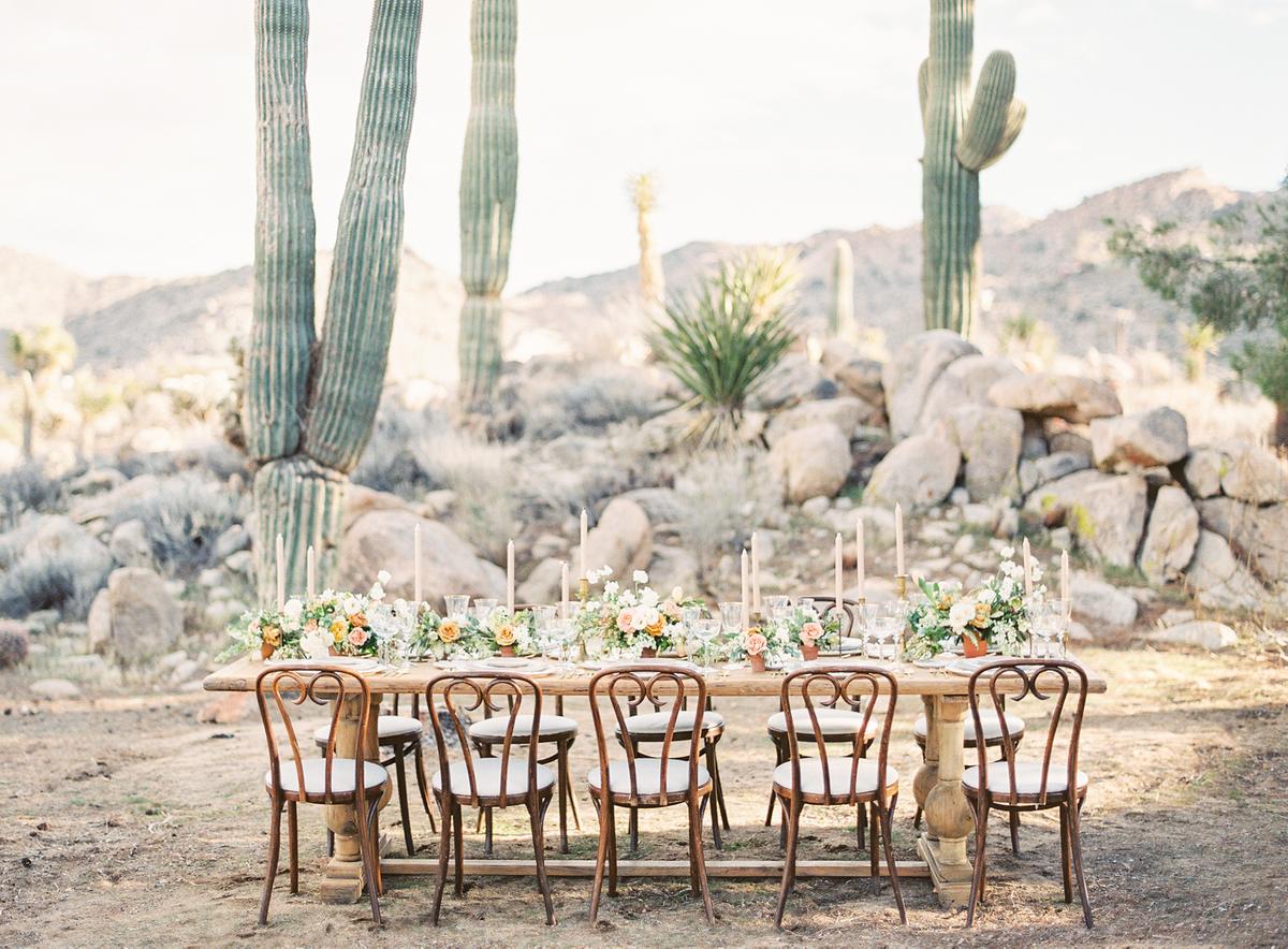Elegant + Romantic Joshua Tree Wedding Inspo