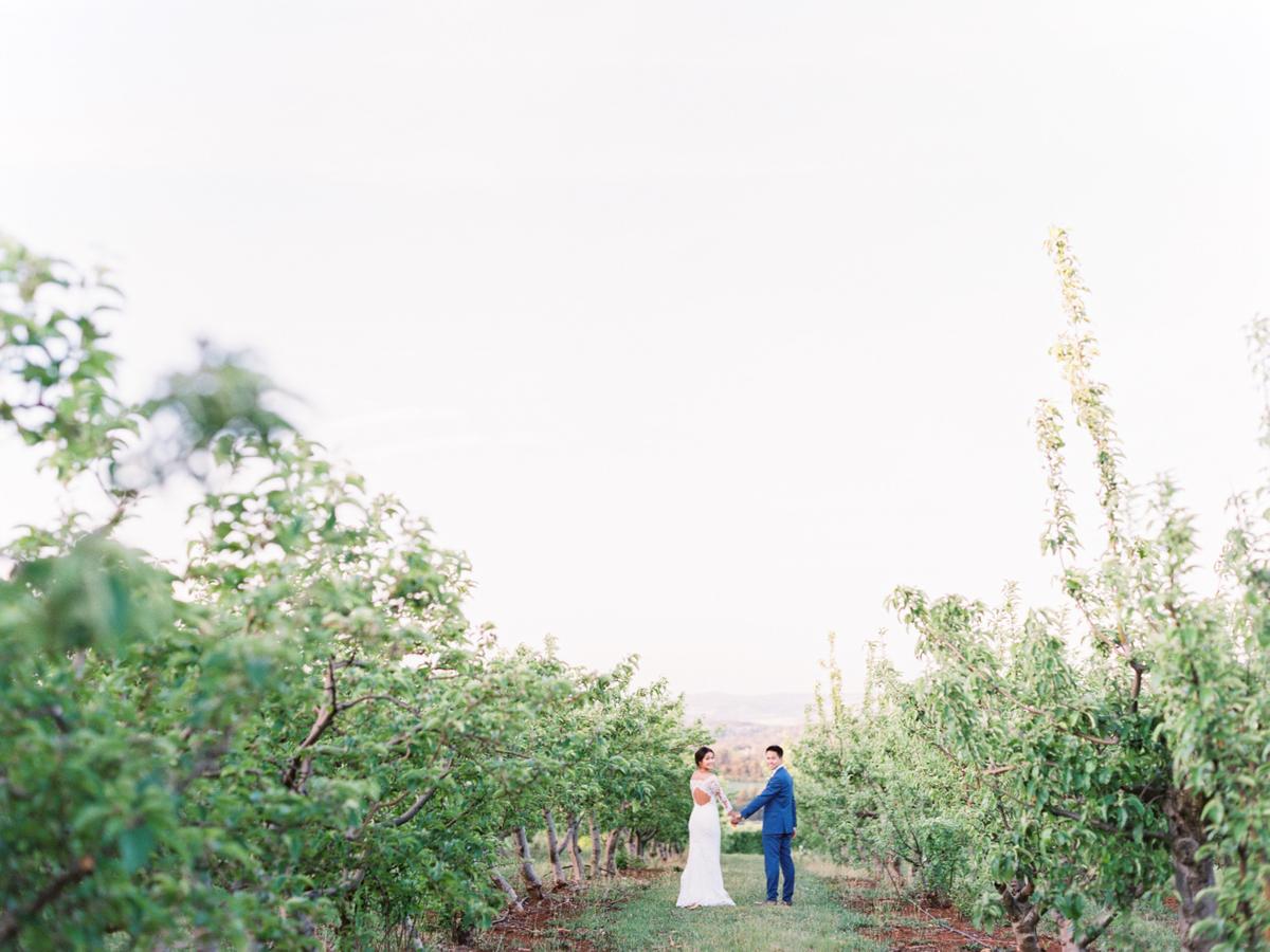 Wedding on the Picturesque Slopes of Extinct Volcano Mt. Canobolas at ...