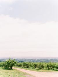 Wedding on the Picturesque Slopes of Extinct Volcano Mt. Canobolas at ...
