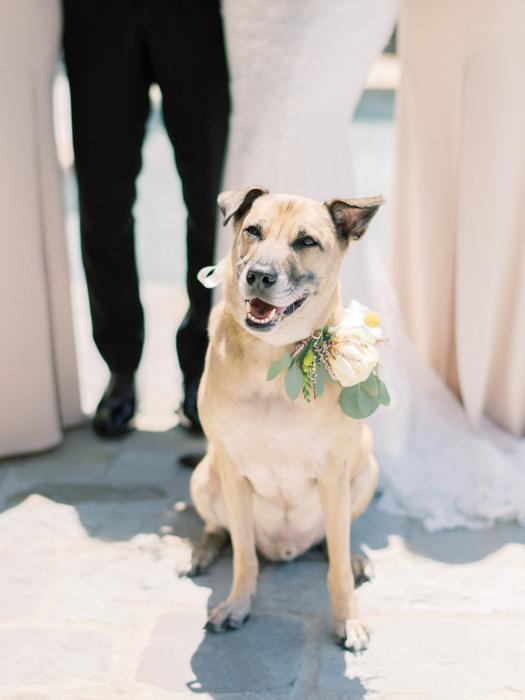The Perfect Example of How to Flip the Same Space for Your Ceremony and ...