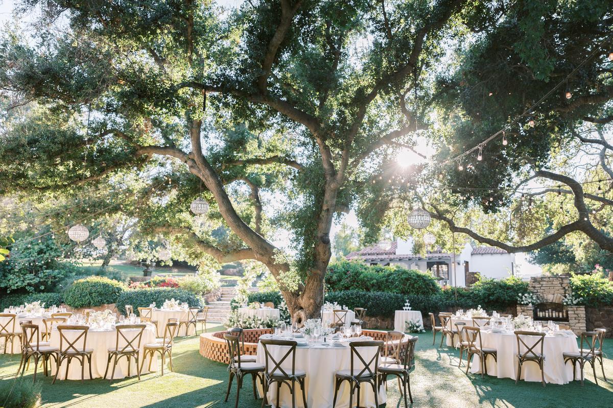 Guests Dine Beneath Oak Trees At This SoCal Dinner Party Wedding