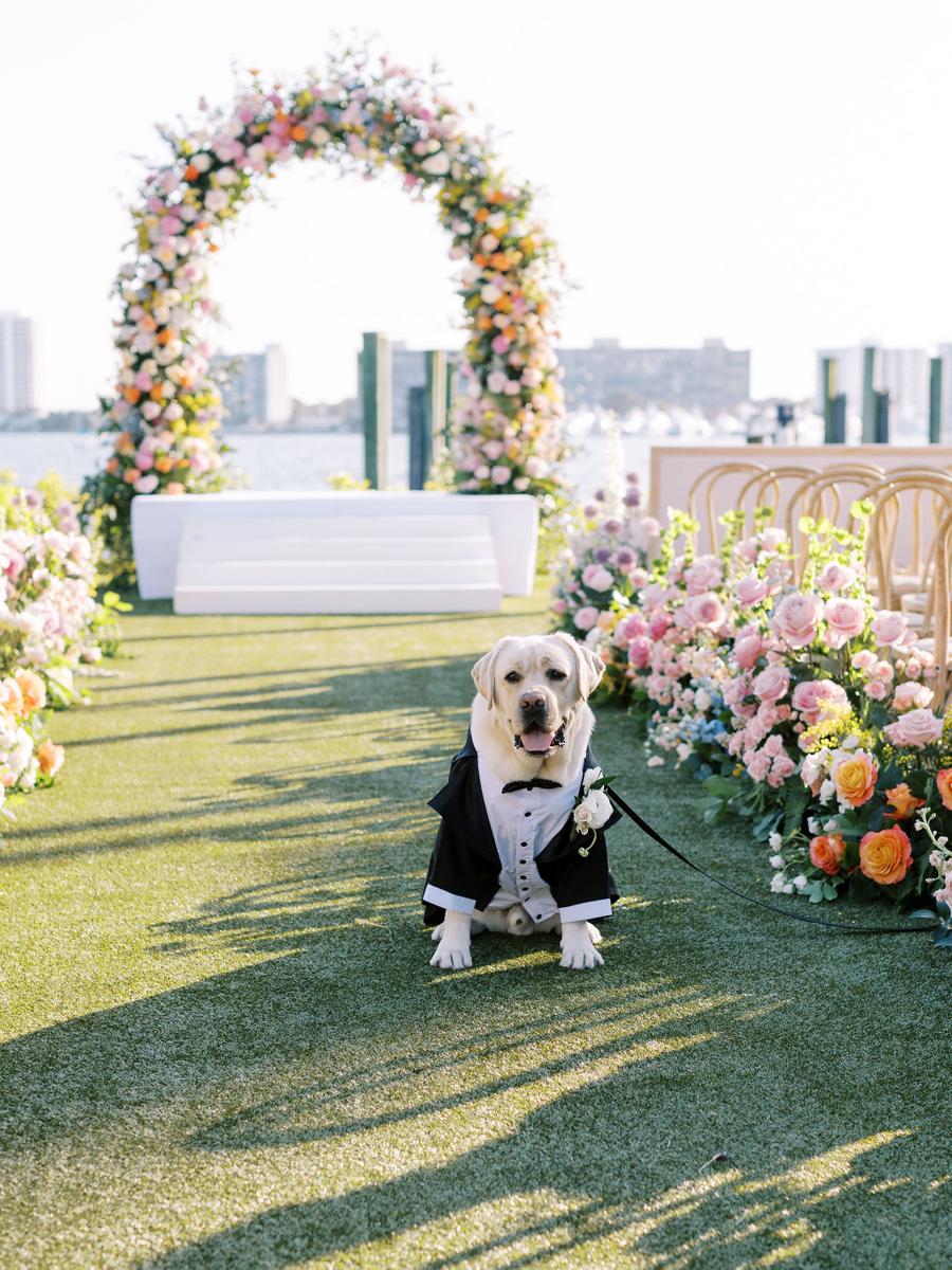 A Whimsical Waterfront Wedding Awash in Bright Color, Rattan Accents ...