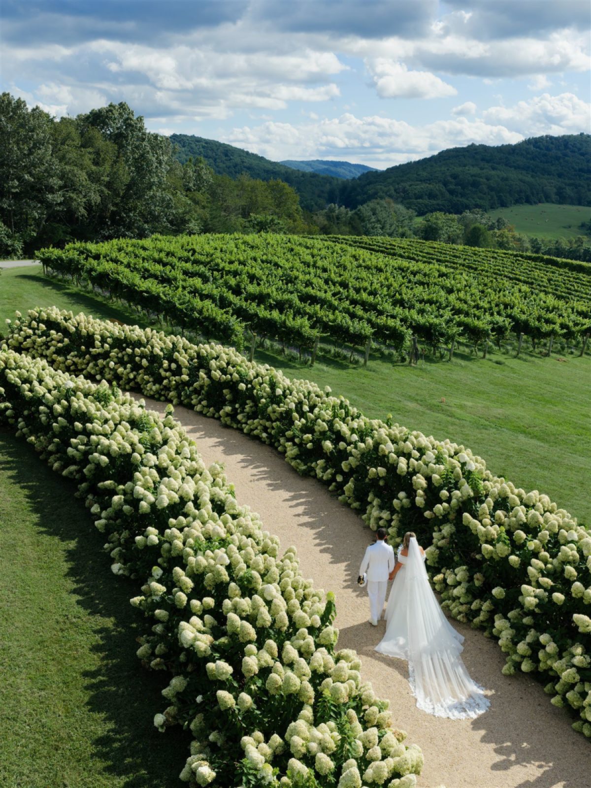 A Late-Summer Garden Party at Pippin Hill With Serpentine Tables and ...