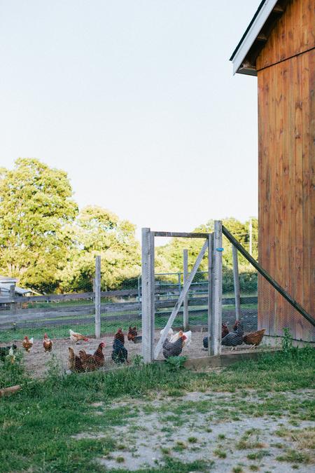New Hampshire Farm Wedding from Summer Street Photography